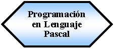 Tecnico en Electronica 5° Año LENGUAJES ELECTRÓNICOS